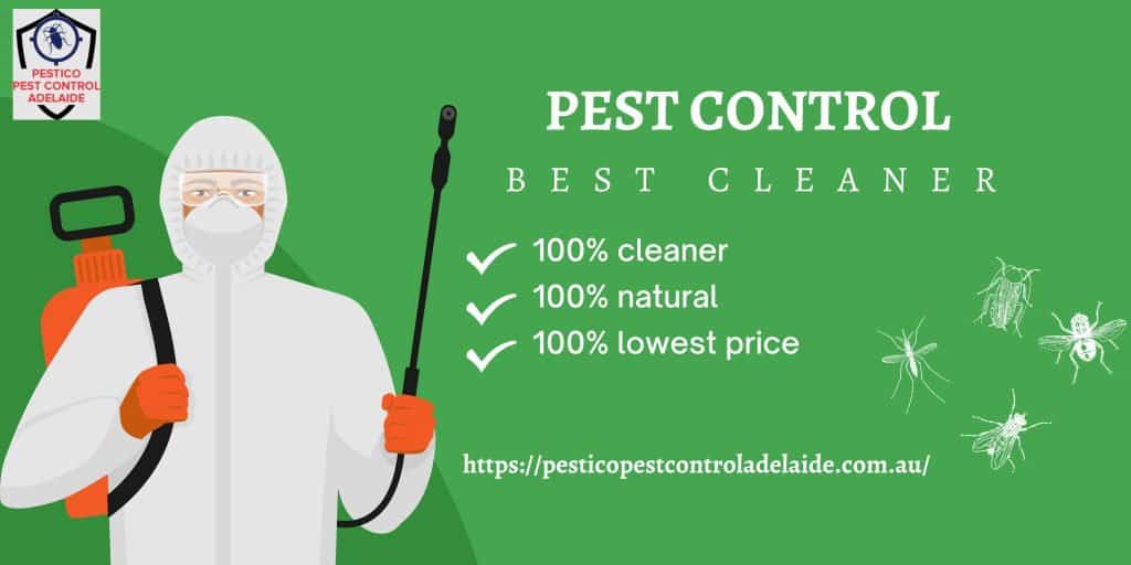 Why Hiring A Professional Pest Control Company Is Important!